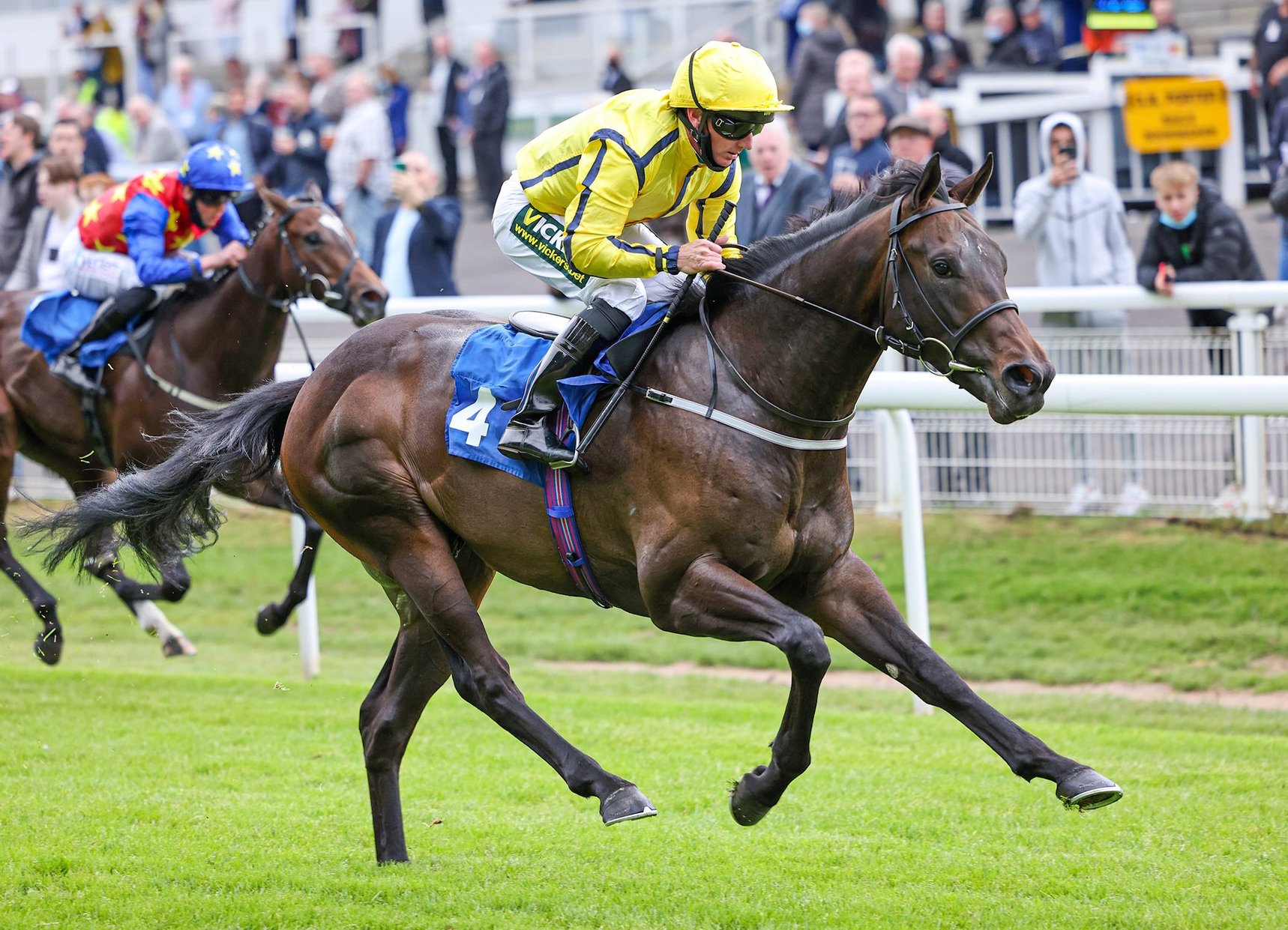 Blandford Bloodstock, Newmarket Suffolk | Ownership